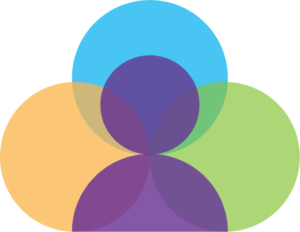 Deciding With Support – Holistic supported decision making toolkit ...